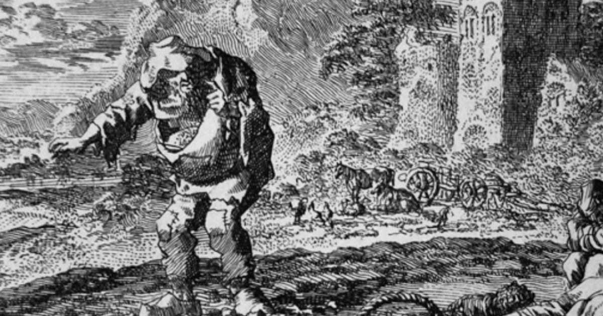 What Lessons Can we Draw From the Parable of the Weeds? - St. Paul Center